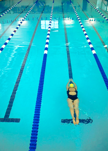 Not-for-Profit | The Wave