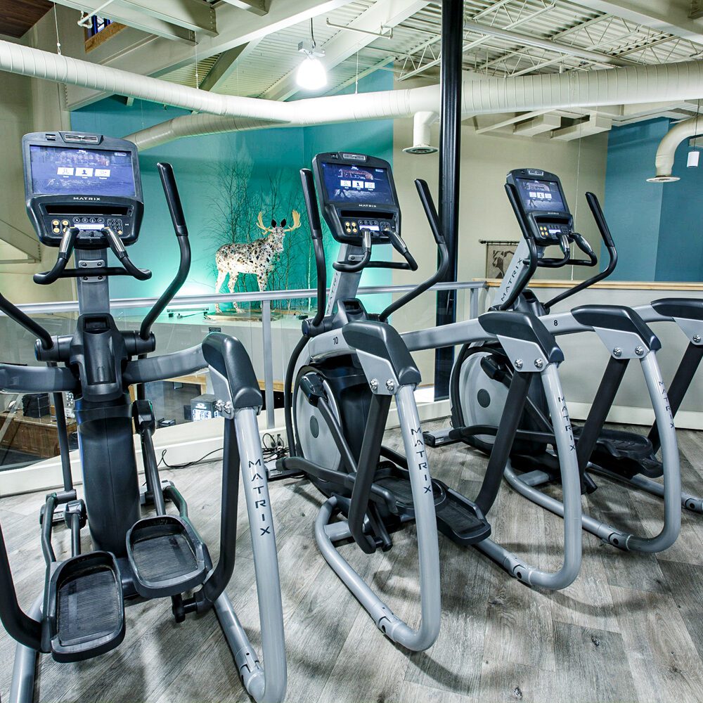 Become a Member | The Wave